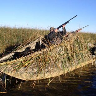 Camo Line - Willie Boats
