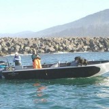 Raptor - Willie Boats